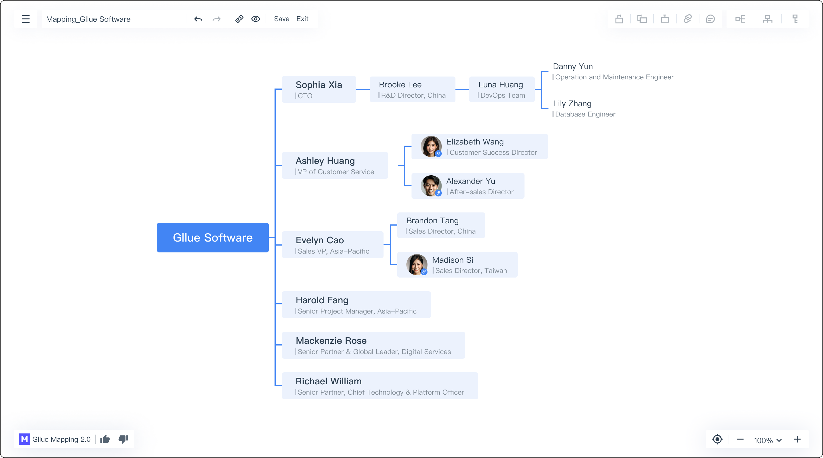 Mapping - Gllue Software